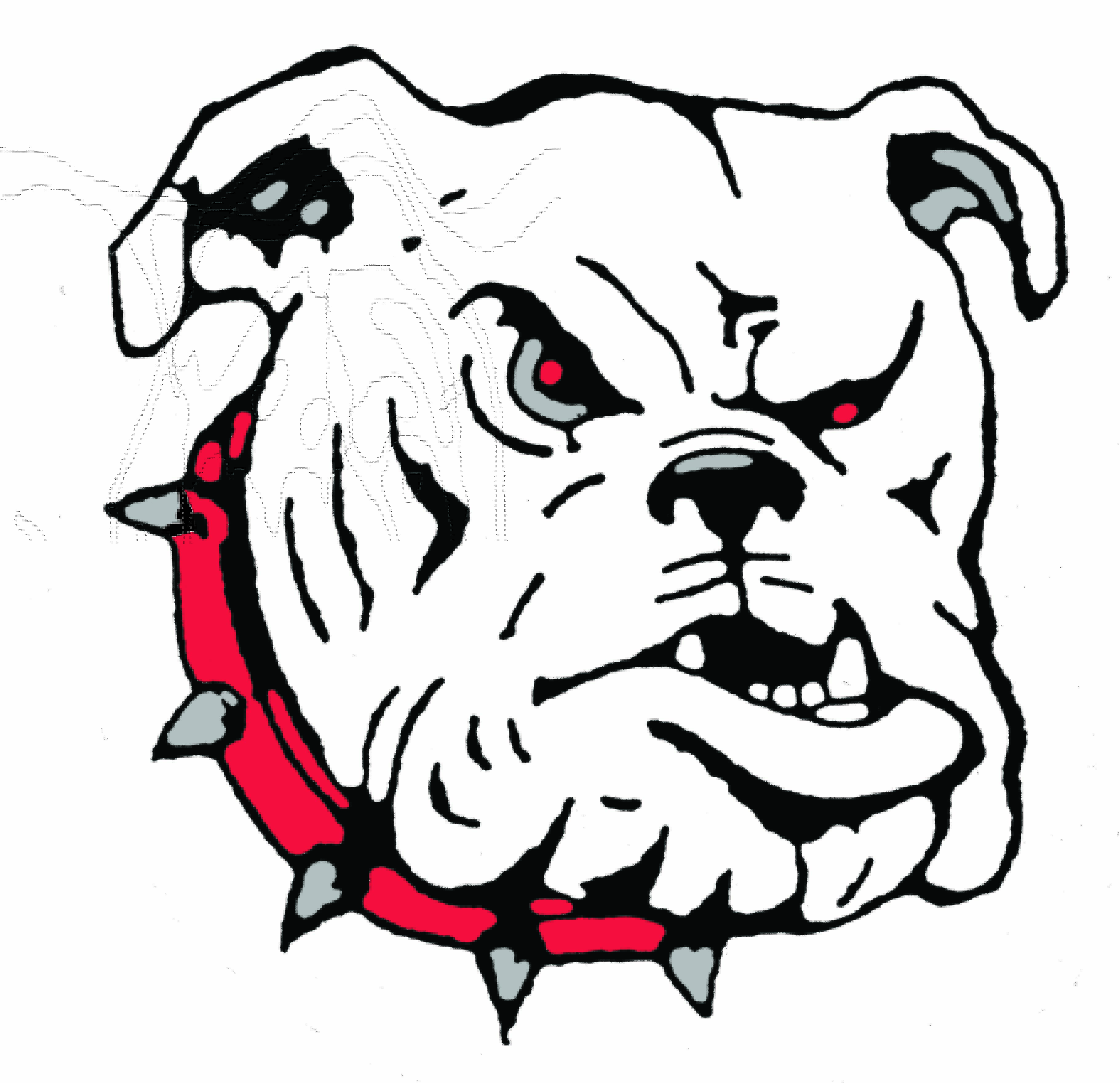 Bulldog Wrestlers Place 6th At Jaguar Invite | Battle Lake Review ...